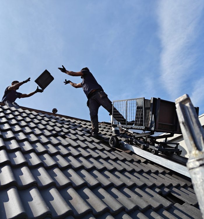 Pannendak renovatie en reparatie - Delta Daktechniek